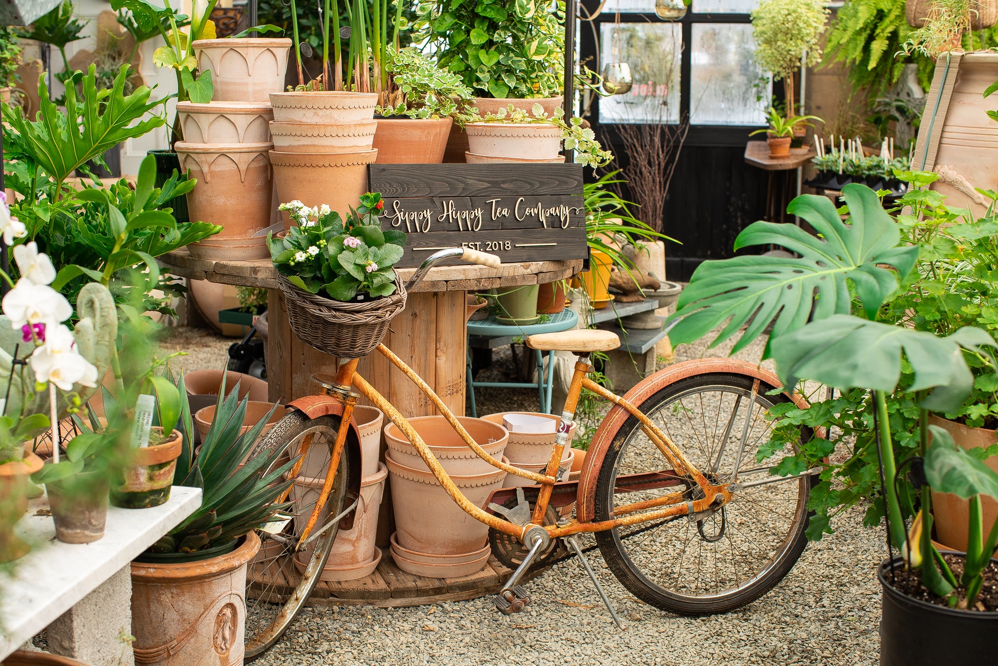 Sippy Hippy Tea Co Organic CBD Tea